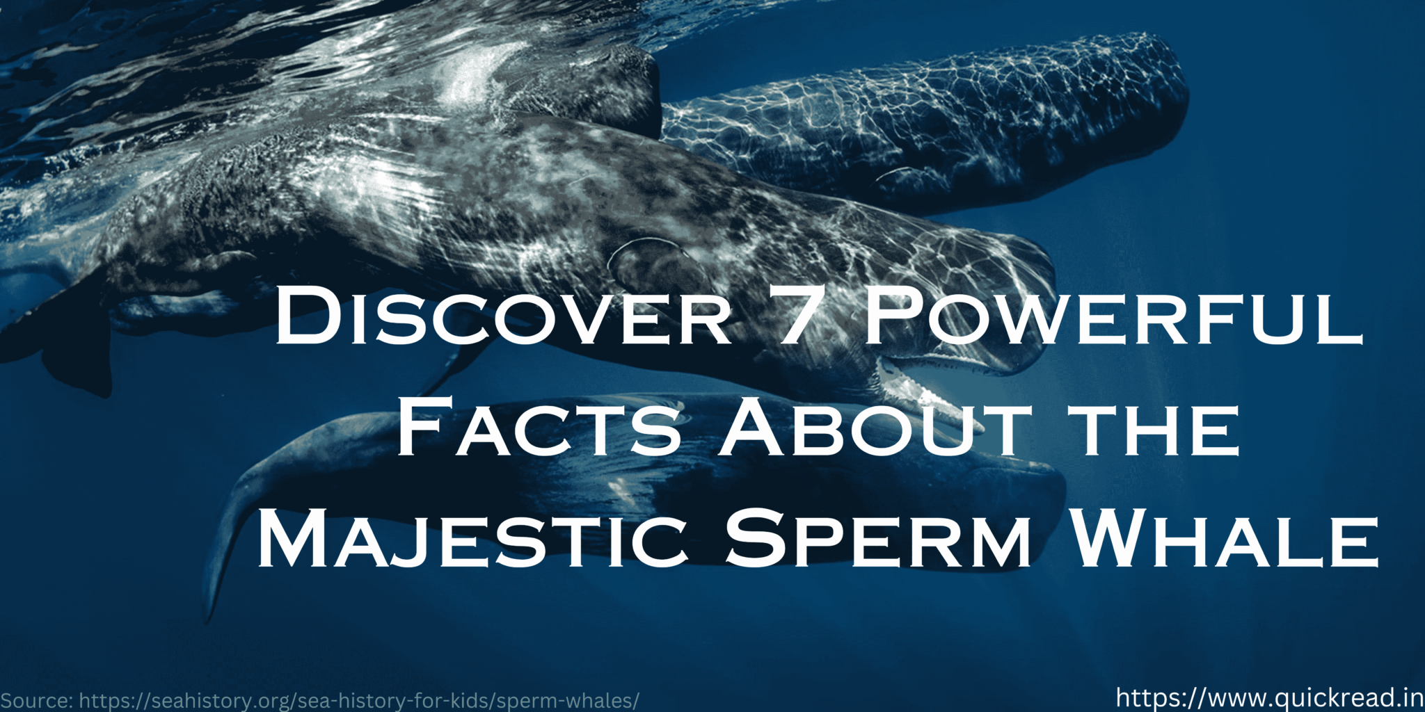 Discover 7 Powerful Facts About the Majestic Sperm Whale